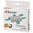 2 x Odyssey Heavy Duty Staples - Pack of 2500 : Amazon.co.uk ...