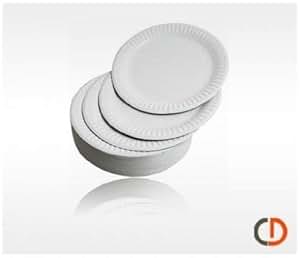 100 x Cheap Paper Plates 9" Disposable White Premium Quality: Amazon.co ...