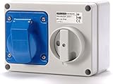MK Commando K9201 Angled Socket Outlet 16 Amp 2P+E 200-250 Volt (IP44 ...