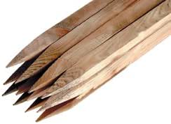 Soft Wood Square Pointed Pressure Treated Tree Stake - 1500mm x 32mm x ...