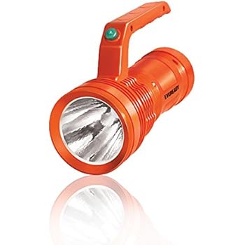 Buy Eveready Commander DL66 Battery Powered LED Torch (Color May Vary ...
