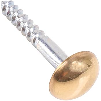 16x Mirror Screws 25mm Polished Brass Plated Dome Head 1": Amazon.co.uk ...