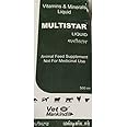 Multistar Multivitamin Liquid (500 ml), 1 Piece : Amazon.in: Health ...