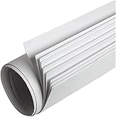 Tinted Paper Full size (Pack of 10) | Chart Paper | Multicolor, Bright ...