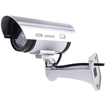 Dummy Cameres - BW Home Outdoor Dummy Dome Fake Security Surveillance ...