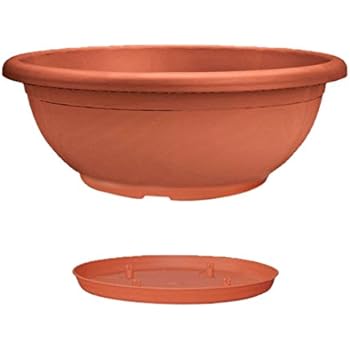 Veca - Wide shallow plant pot with saucer, 30 x 11cm, Terracotta ...