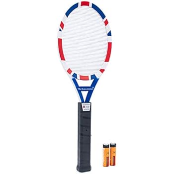 The Executioner Pro Fly Killer Mosquito Swatter Racket Wasp Bug Zapper ...