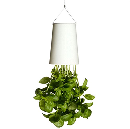 Upside Down Plant Pots | Warehouse of Weird