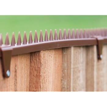 Featherboard Fence Spikes, Pack of 20 Brown Anti Climb Wall Spike ...