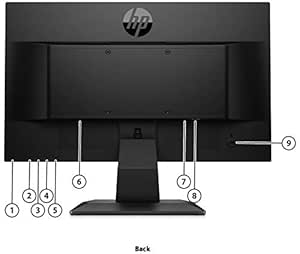 Amazon.in: Buy HP P204v 19.5-inch Monitor Online at Low Prices in India ...