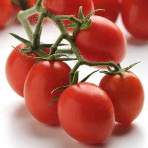 Go Green Tomato Pusa Ruby with Great germination-50 Seeds : Amazon.in ...