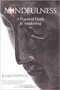 Mindfulness: A Practical Guide to Awakening: Amazon.co.uk: Joseph ...