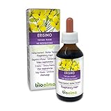 Erisimo: benefici, proprietà e utilizzi dell'erba dei cantanti - Tuttogreen