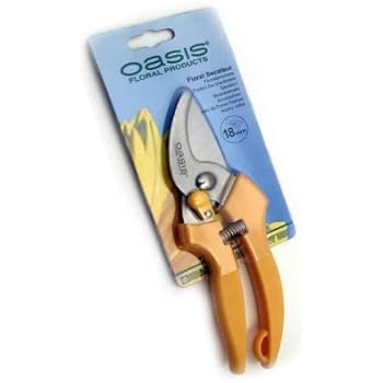 Professional Florist Carbon Blade Scissors.: Amazon.co.uk: Garden ...