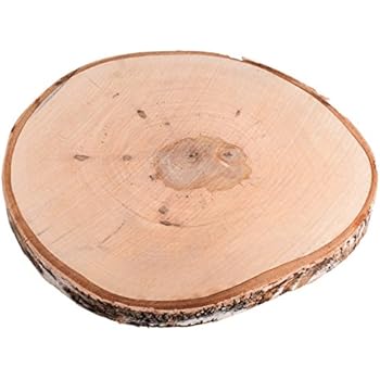 Rayher 55807000 Large Birch Wood Disc with Bark, Natural Round Wooden ...