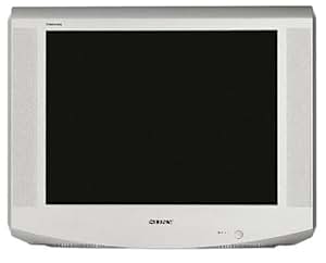 Sony KV 29 LS 30 73,7 cm (29 Zoll) 4:3 50 Hertz Fernseher Silber ...