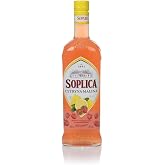 SOPLICA - Polish Hazelnut Vodka - Natural Ingredients - For Shots ...