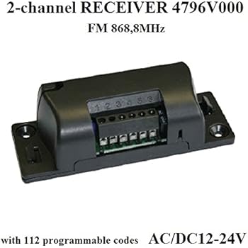4796V000 Récepteur 2 canaux SOMMER 868 Mhz - SOMMER: Amazon.fr: Jardin