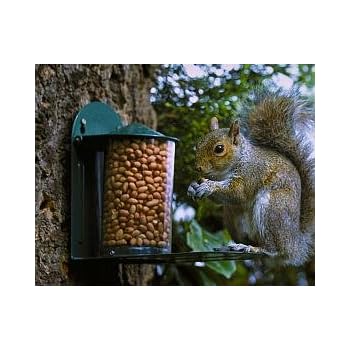Metal Squirrel Feeder PLUS 400g Peanuts: Amazon.co.uk: Pet Supplies