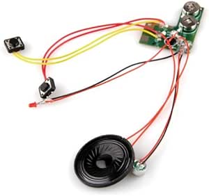 Sound Aufnahme Geräusch Decoder Modul 10 Sekunden Neu : Amazon.de ...