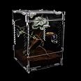The Spider Shop Jumping Spider Starter Kit - A complete kit for rearing ...