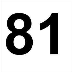 3 times Number 81 High-Quality adhesive, Black, All-Weather, 20 CM tall ...