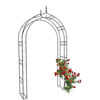 Relaxdays Rose Arch, Climbing Plant Support Frame with Pointed Tip, 242 ...