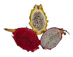 Drachenfrucht, Dragonfruit, Pitahaya, Pitaya - Exoten in Der Fruchtkorb