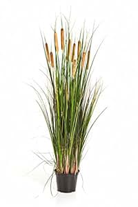 Artificial bulrush grass AISAKE, 10 light brown spikes, green, 4 ft ...