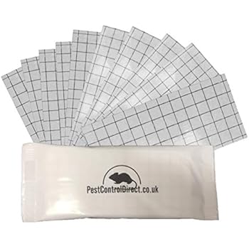 Clothes Moth Pheromone traps (pack of 10 traps): Amazon.co.uk: Garden ...