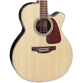 Epiphone PR5-E Thin-Body Acoustic/Electric Guitar, Florentine Cutaway ...