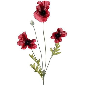 Artificial Silk Exotic Poppy Single Stem - 93cm, Red: Amazon.co.uk ...
