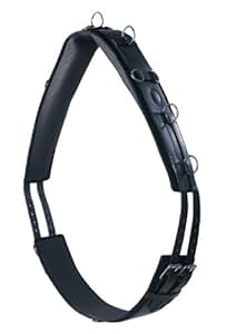 GFS Leather Training Padded Lunging Roller - Black, Pony: Amazon.co.uk ...