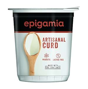 Epigamia Artisanal Curd, 400g: Amazon.in: Grocery & Gourmet Foods