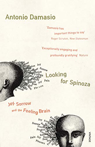 Looking for Spinoza : Damasio, Antonio: Amazon.co.uk: Books