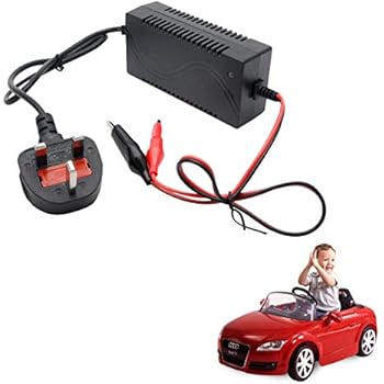 FEBER - Chargeur de Batterie pour Vehicules Electriques Feber pour ...