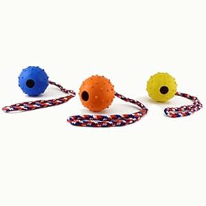Swing into Fun: Top 10 Ball Attached to String Toys, Reviewed & Rated ...