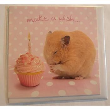 Hamster Birthday Card "Make A Wish": Amazon.co.uk: Kitchen & Home
