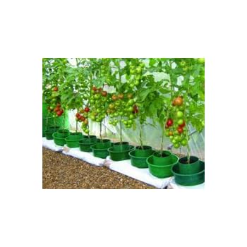 3 Tomato Growbag Growpots from Garden Innovations: Amazon.co.uk: Garden ...