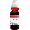 Buy Dr Reckeweg Thuja Q (20ml) Online at Low Prices in India - Amazon.in