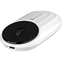 Amazon.in: Buy Portronics Toad 8 Transparent Wireless Bluetooth Mouse ...
