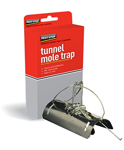 Chose the best mole traps (November 2020 Updated Review) » Shetland's ...
