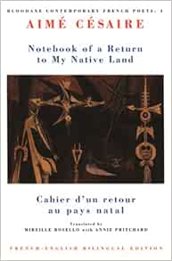 Return to My Native Land (Bloodaxe Contemporary French Poets): Cahier d ...