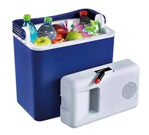 Campingaz - Activ'Cool Box 12V: Amazon.co.uk: Car & Motorbike