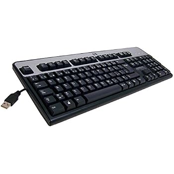 Amazon.in: Buy HP Hewlett-Packard KU-0316 Black/Silver USB Wired 107 ...