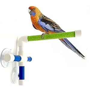 XMSSIT Bird Shower Perch,Pet Parrot Bath Perches Standing Platform Rack ...