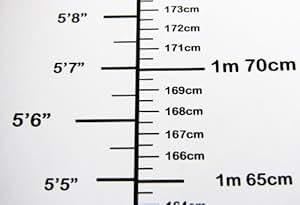 Height meter, metric and imperial: Amazon.co.uk: Office Products