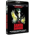 Santa Sangre (1989) ( Holy Blood ) (Blu-Ray): Amazon.co.uk: Axel ...