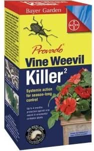 Bayer Garden Provado Vine Weevil Killer² Concentrate 1 Litre: Amazon.co ...