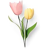 Sizzix 664377 Set di Fustelle Thinlits, Cornice Geo Floreale di Lisa Jones, Multicolore, Taglia ...